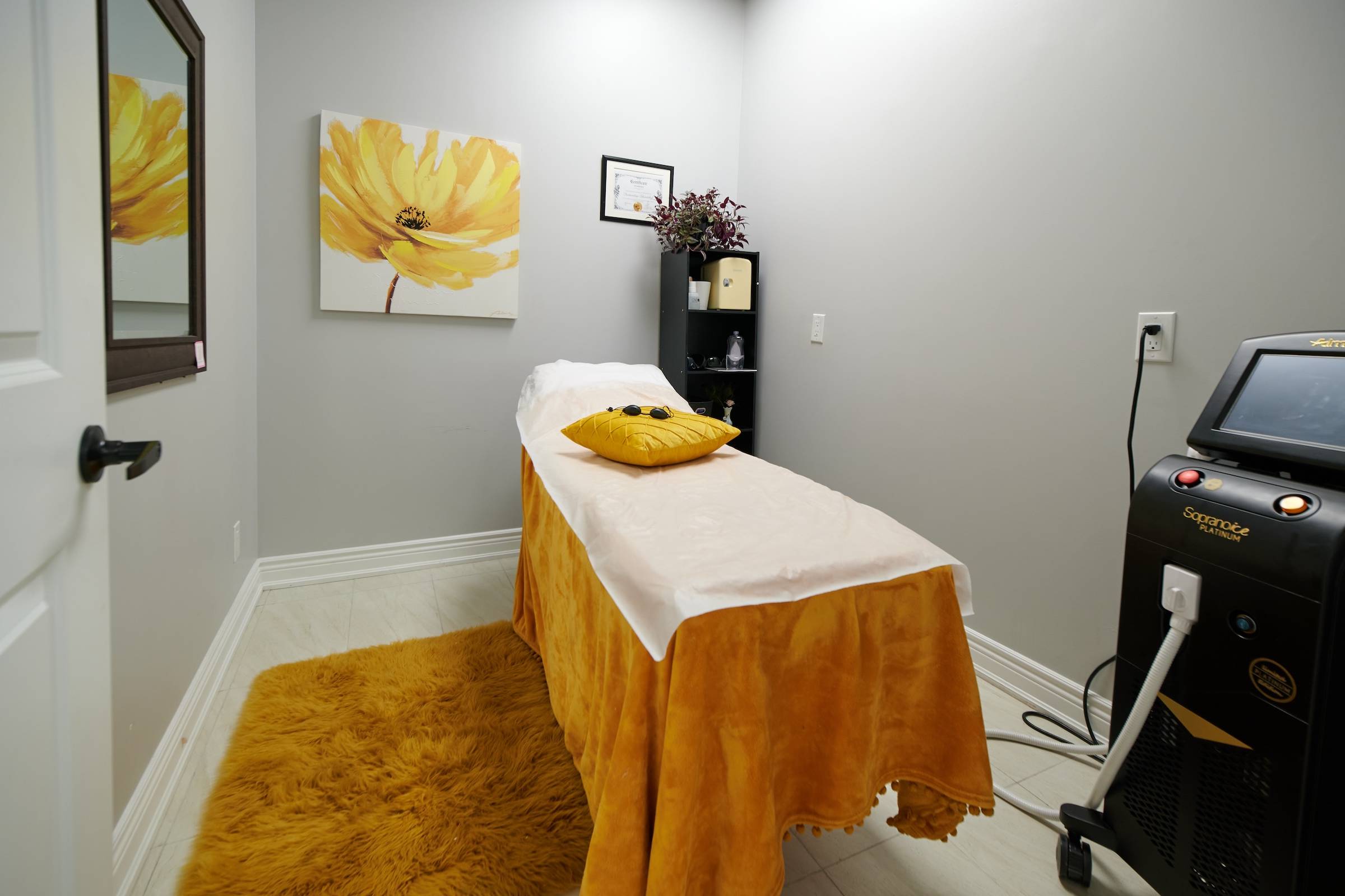 Laser Hair Removal - Lavish Spa 387